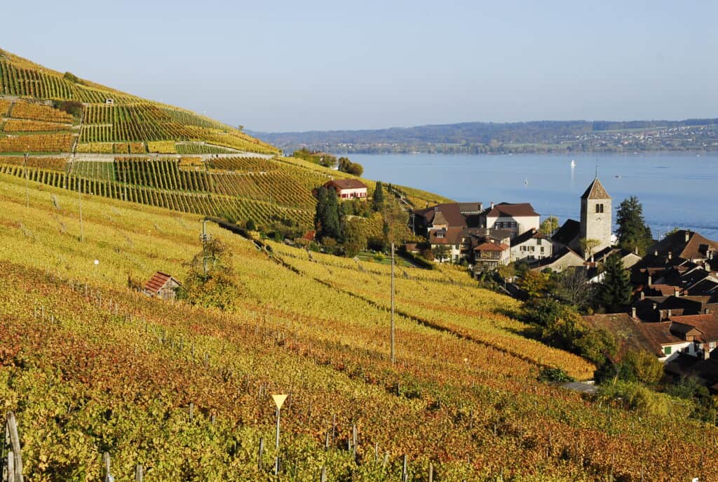 Trüelete in Twann | Weinbauregion Bielersee